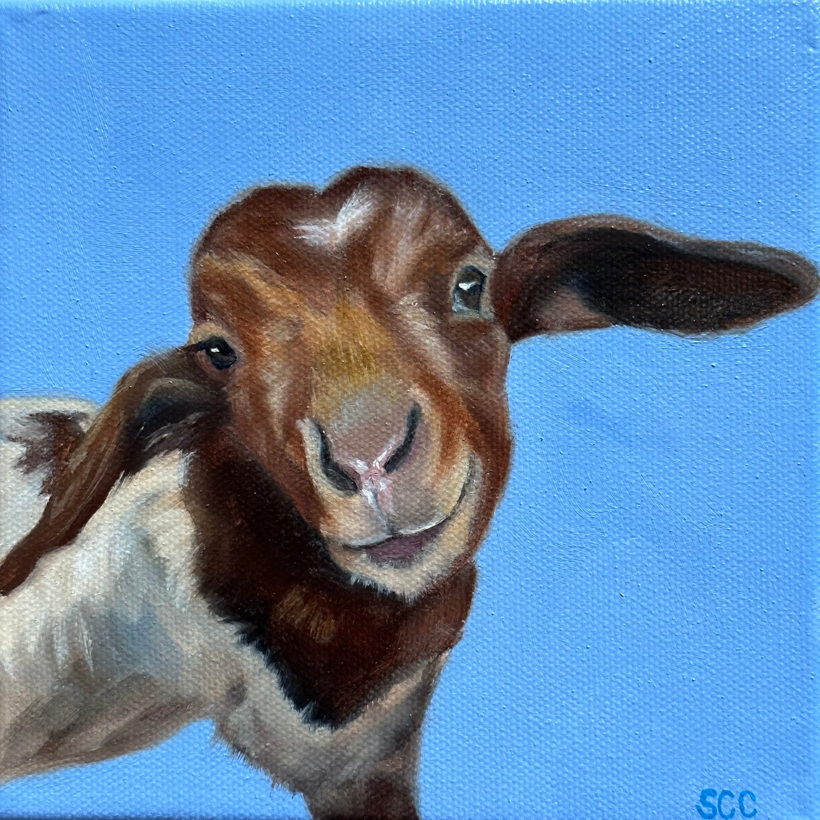 Sarah Chapman Art LLC